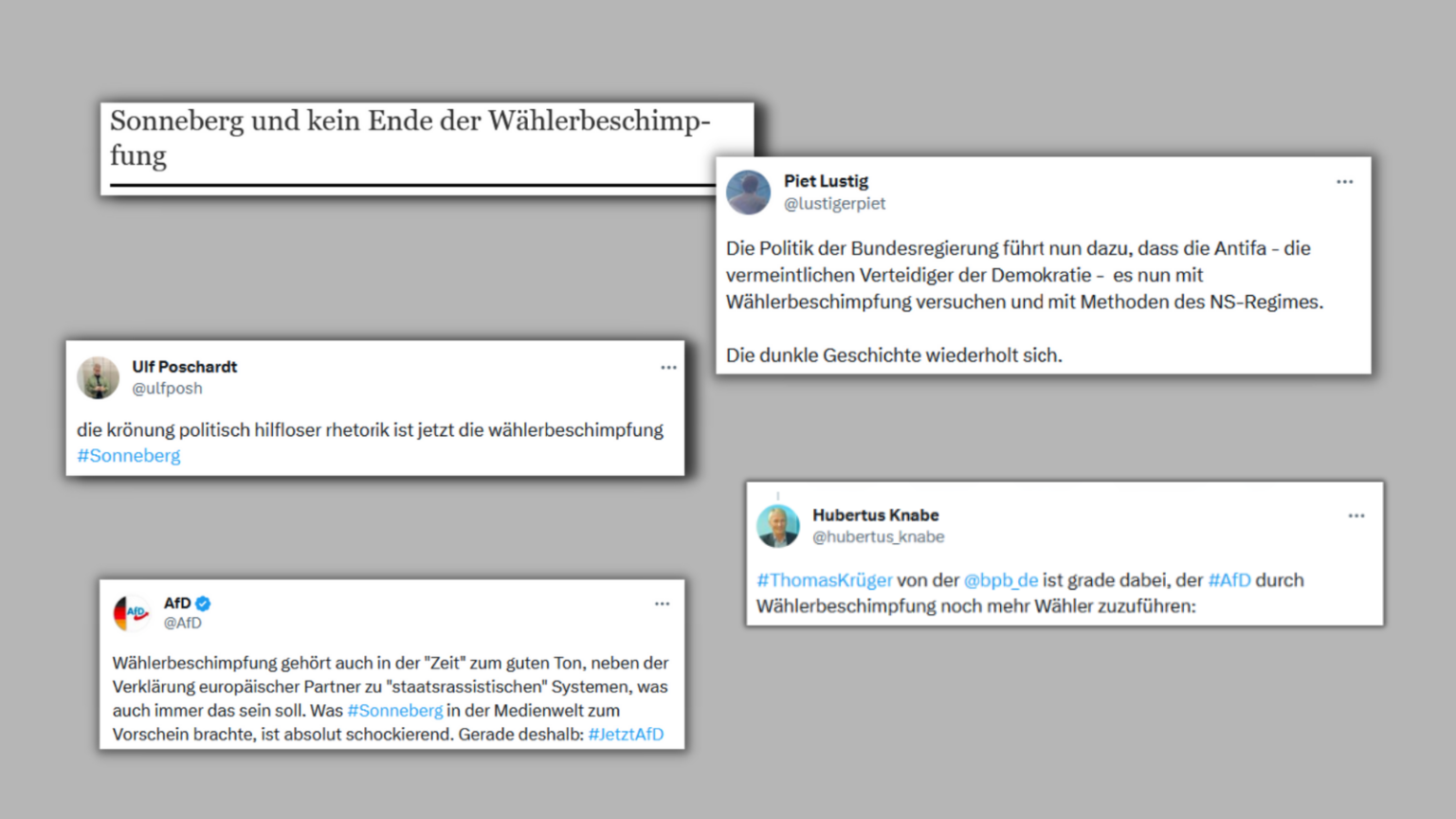 Verfassungsfeindlichkeit: Was ist demokratiefeindlich an der AfD? - Amadeu Antonio Stiftung